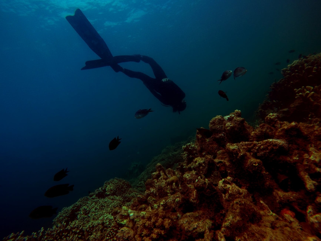 How to Extend Your Bottom Time When Diving - Custom Printed Dive Logs ...