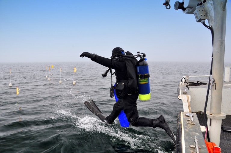 The Beginner's Guide to Freshwater Diving - Custom Printed Dive Logs ...